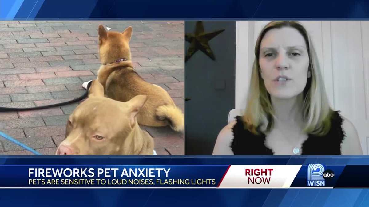 Keep pets safe during fireworks displays