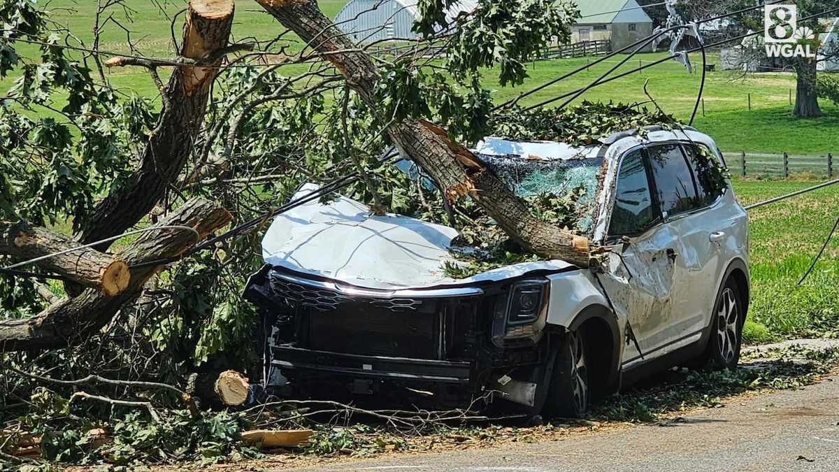 Tree crushes SUV in York County, Pa.