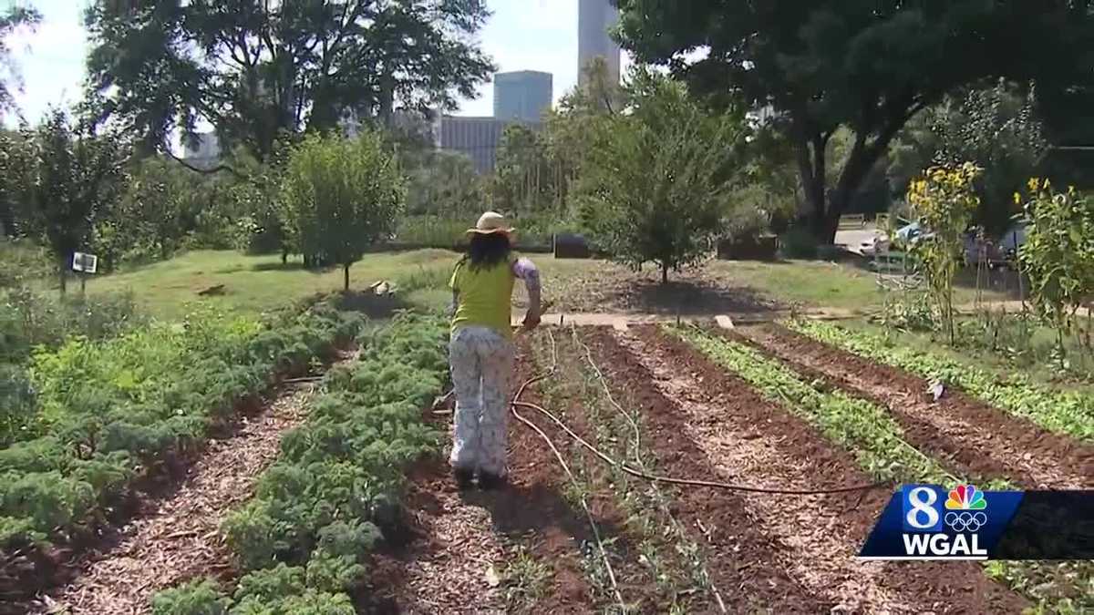 From springtime injury advice to Penn State Children's Health Week ...