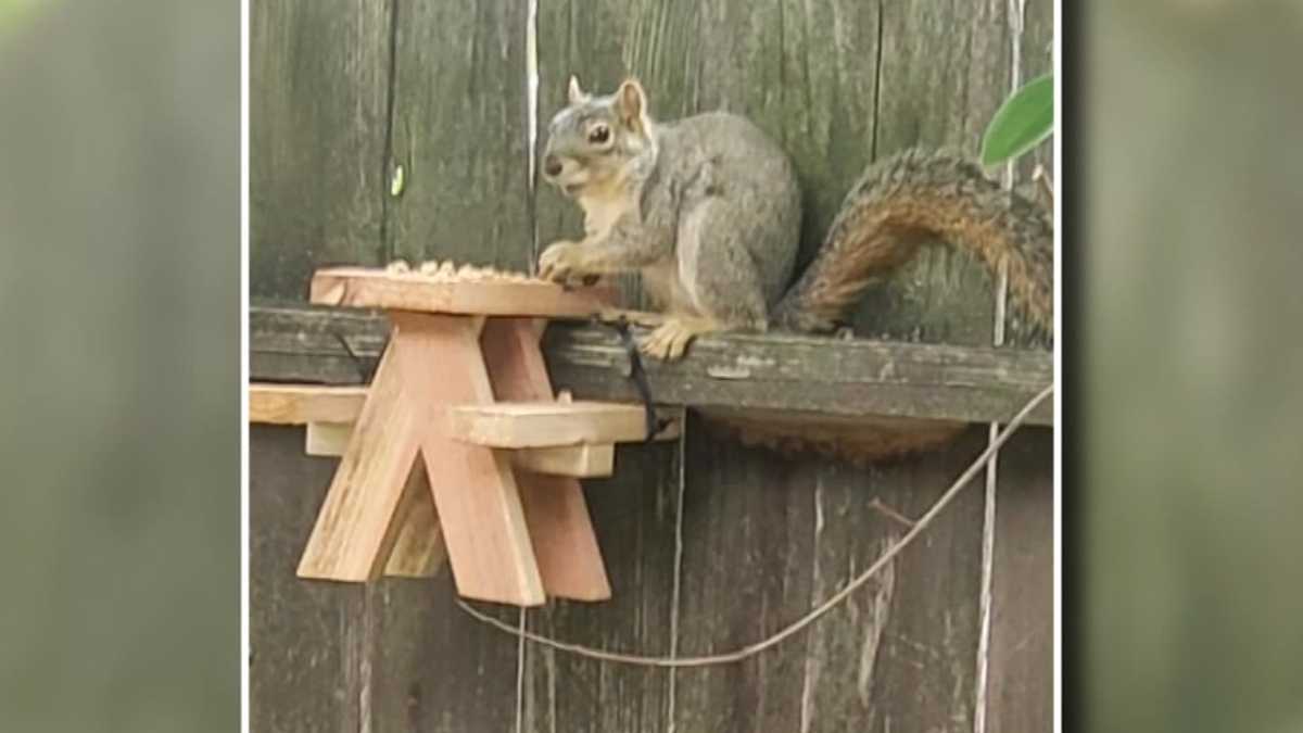 'People were going nuts for it': Man creates picnic tables for ...