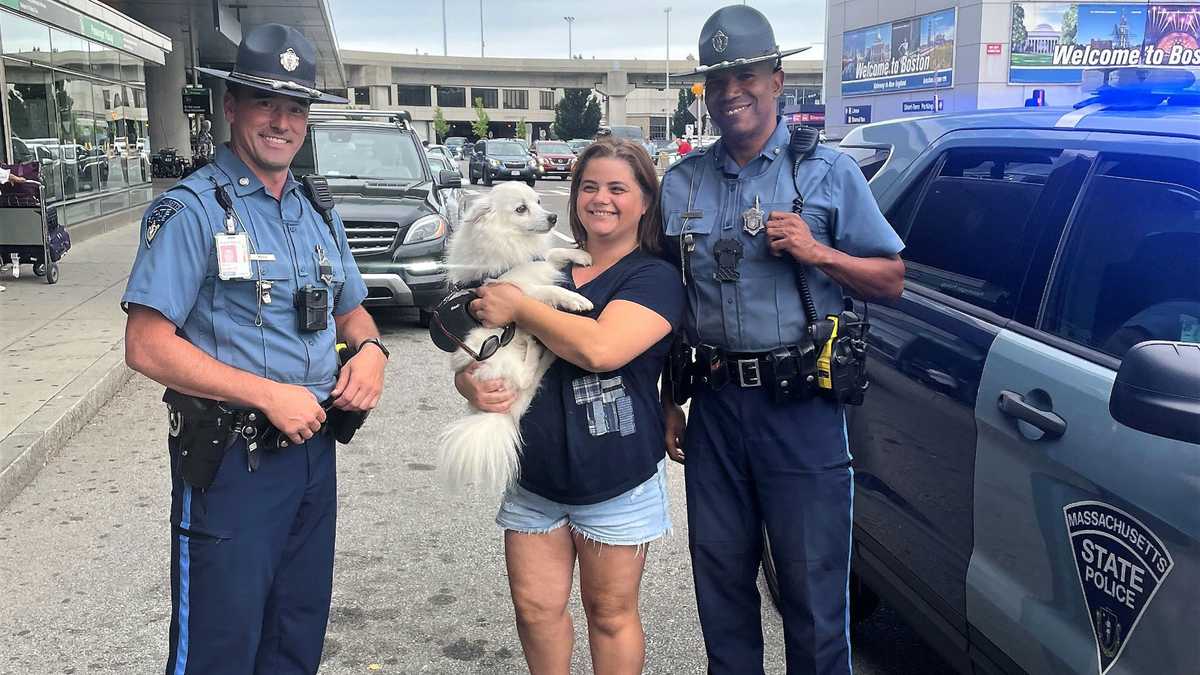 Mass. troopers reunite runaway dog with owner at Logan Airport