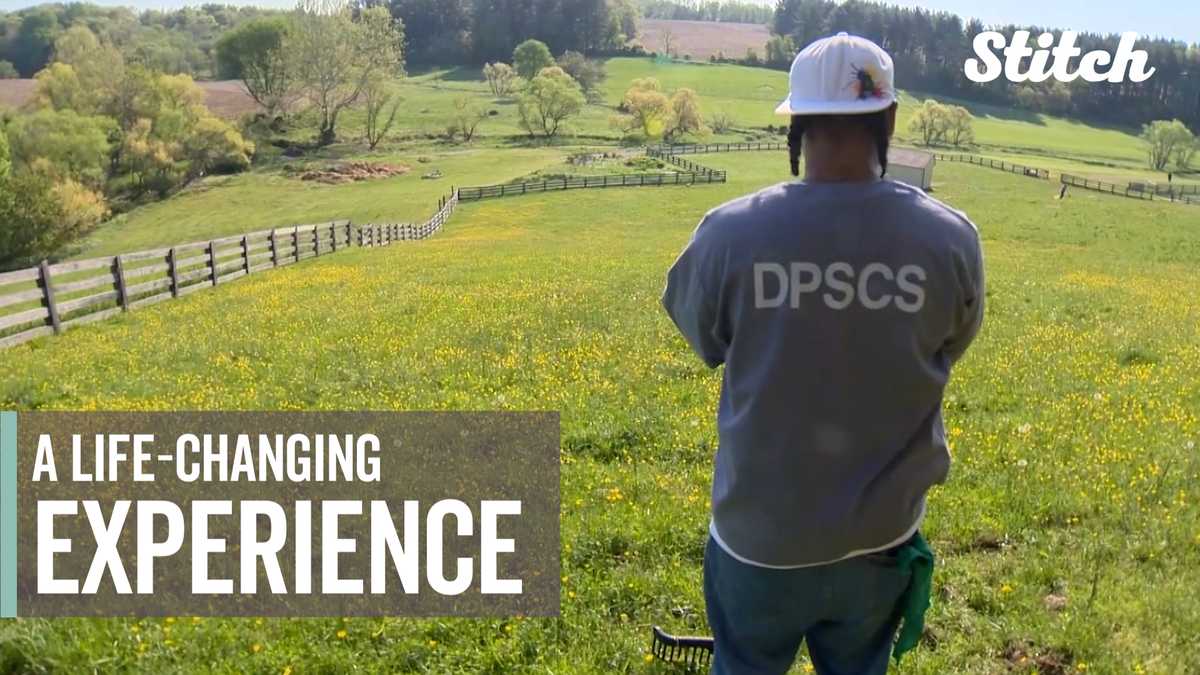 Inmates get second chance by working with rescue horses