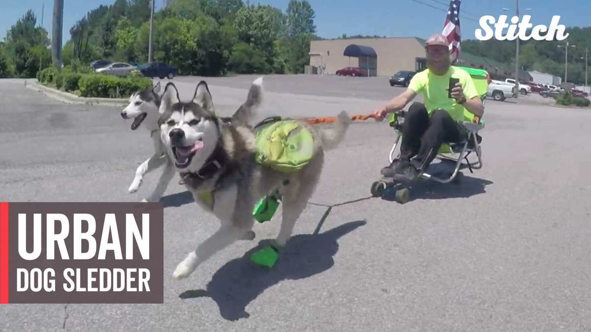 Homeless man's viral cross-country trip earns him fresh start