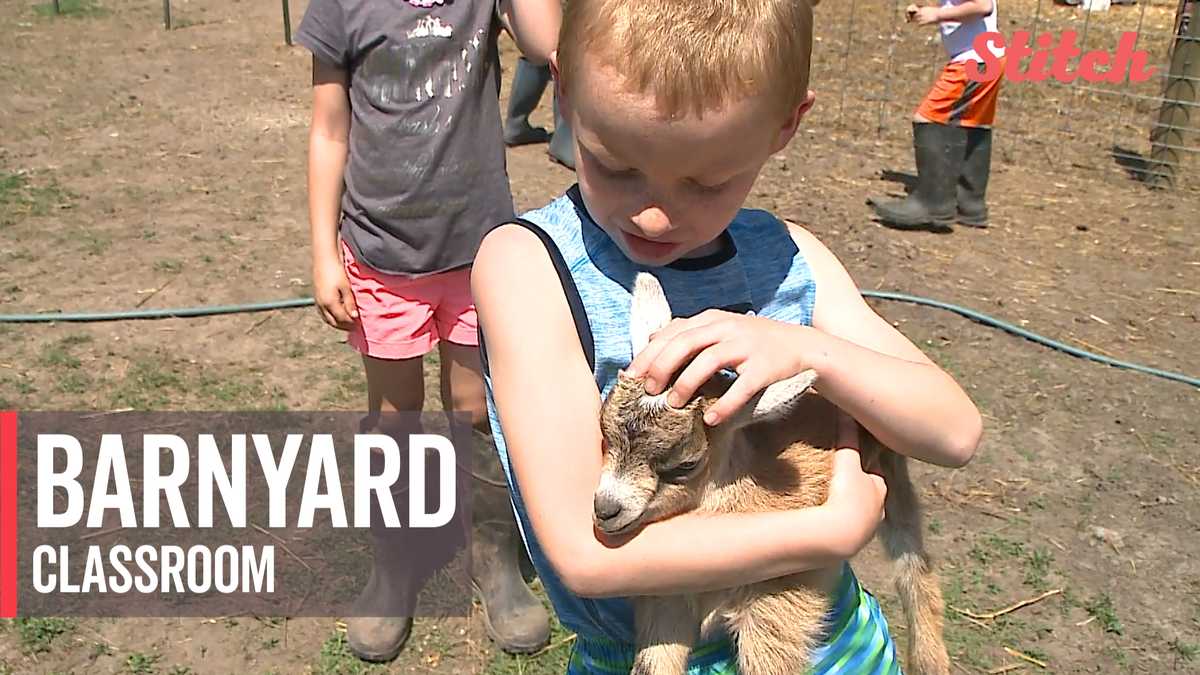 Barnyard classroom teaches students responsibility, work ethic