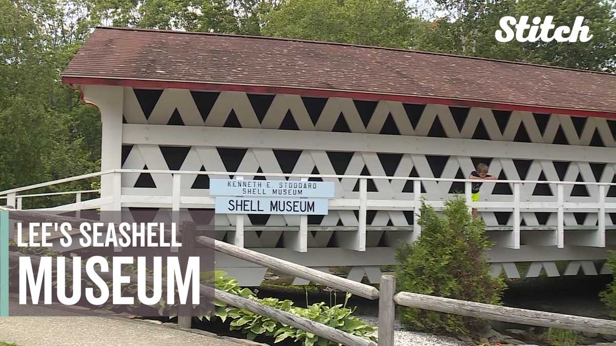 Maine man's shell museum honors his father's collection