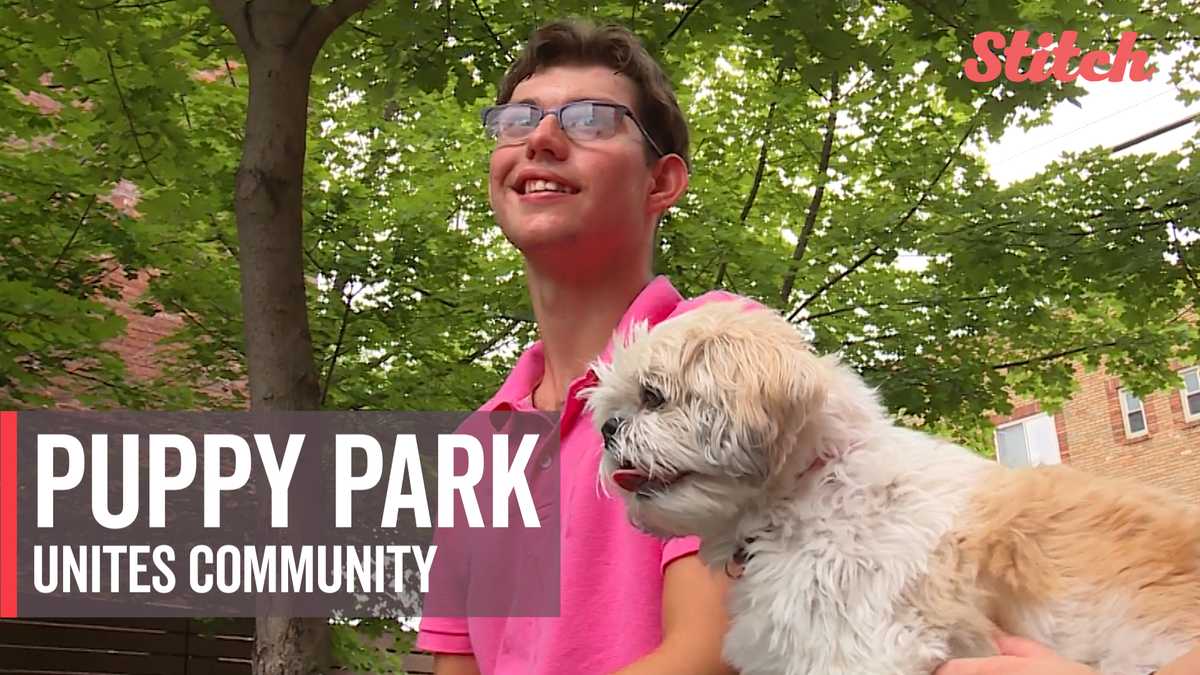 Pop-up puppy park inspired by teen with disability brings community ...