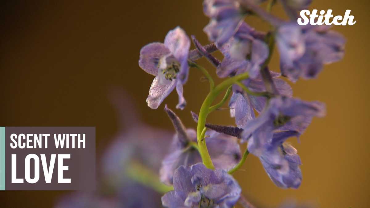 'Scent with Love' finds new homes for wedding flowers
