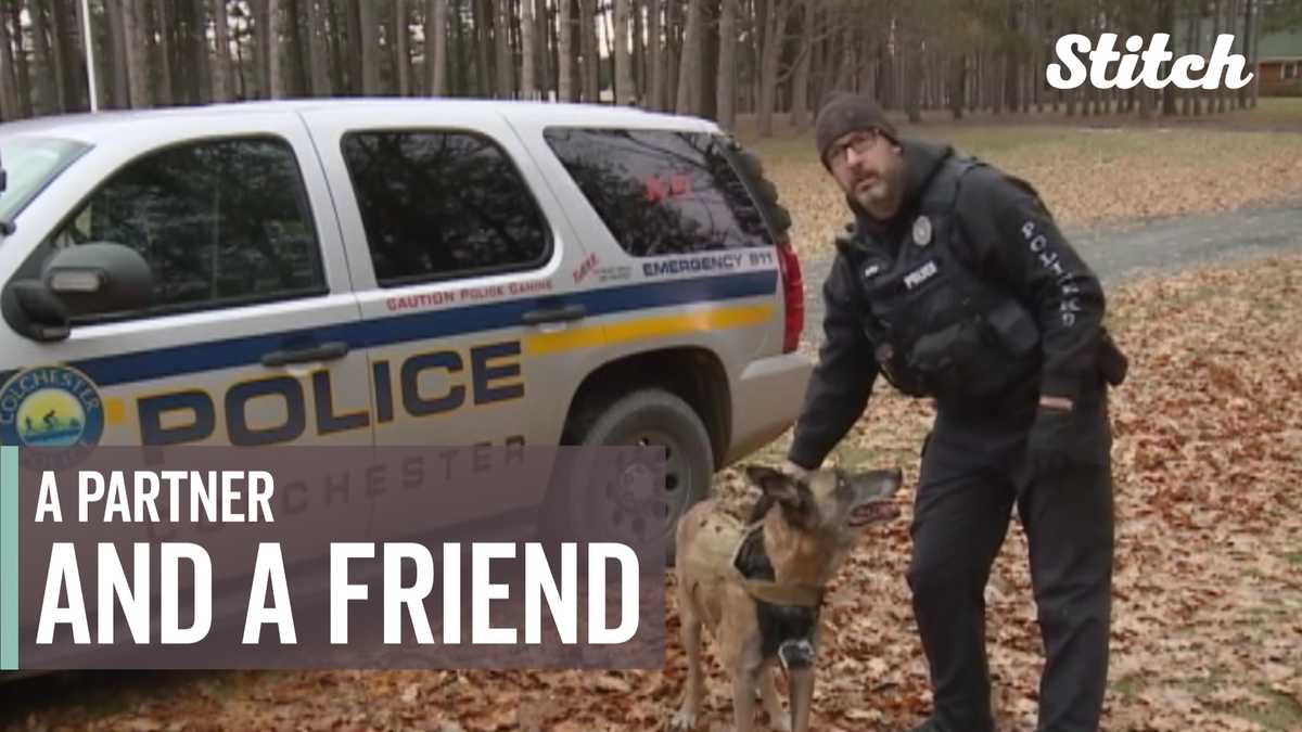 'It's been hard': Police officer reflects on K-9's cancer diagnosis