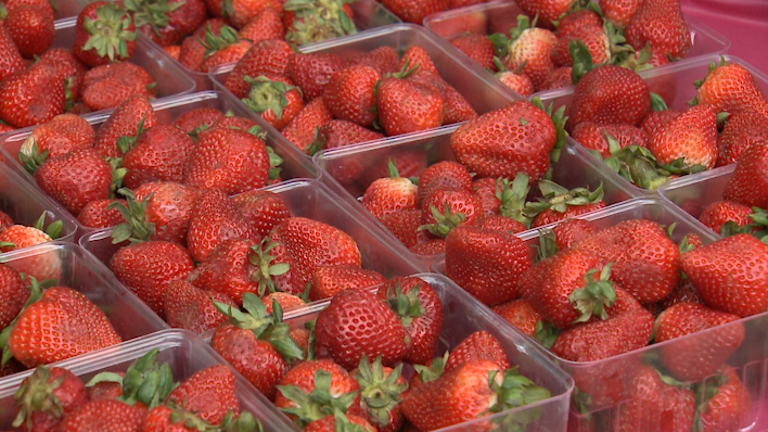 Cedarburg's Strawberry Fest fights inflation