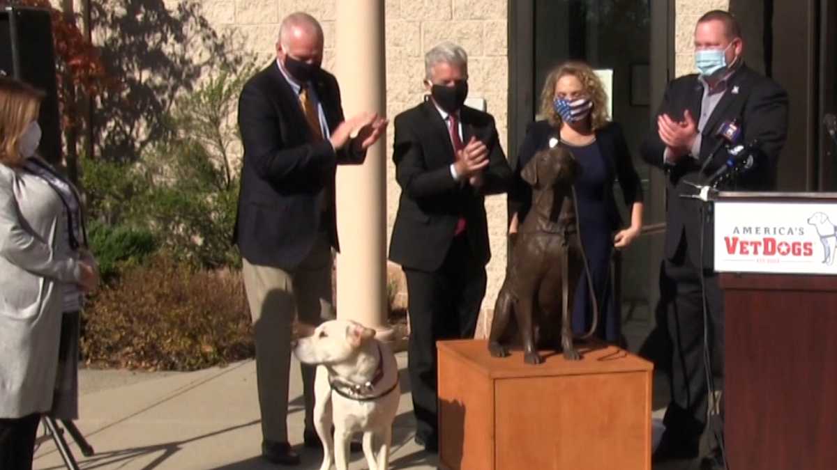 Bronze statue of Sully, George H.W. Bush's former service dog, unveiled ...