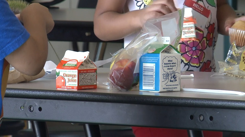 New federal program to provide summer meal money