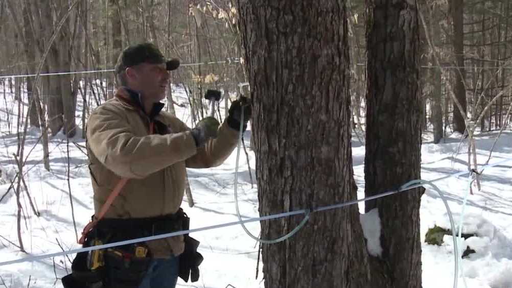 Weather this winter has made for up and down NH maple season
