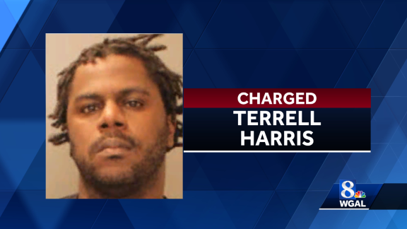 Man charged with animal abuse in beating of dog in York, Pa.