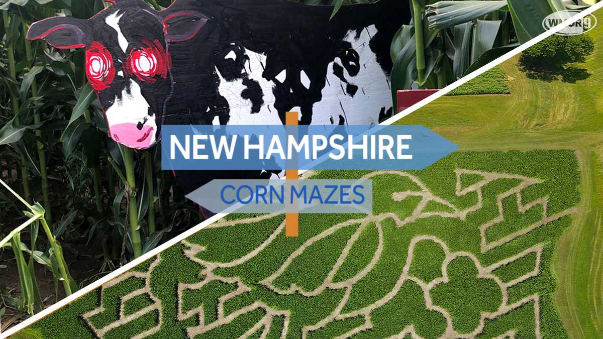 Visit several New Hampshire corn mazes open this fall