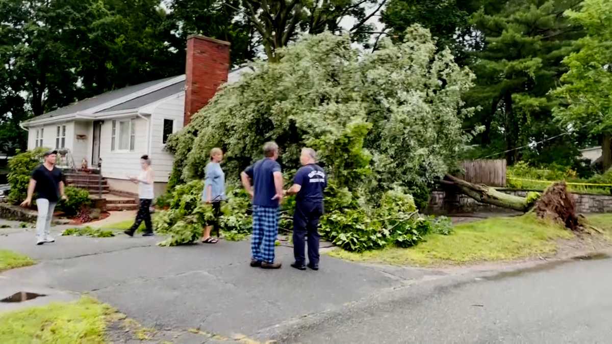 Trees toppled, power lines down in Mass. when storms hit