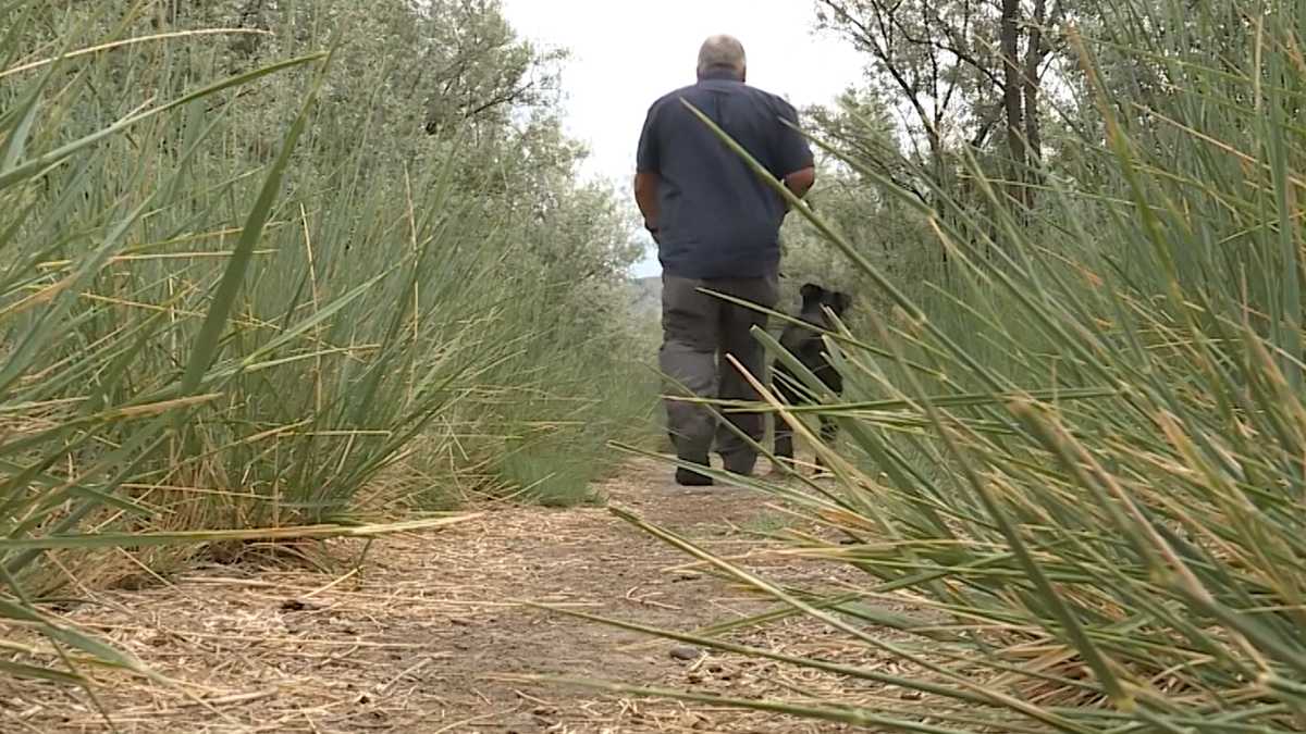 Two men in Utah started a real-life treasure hunt for the second time ...
