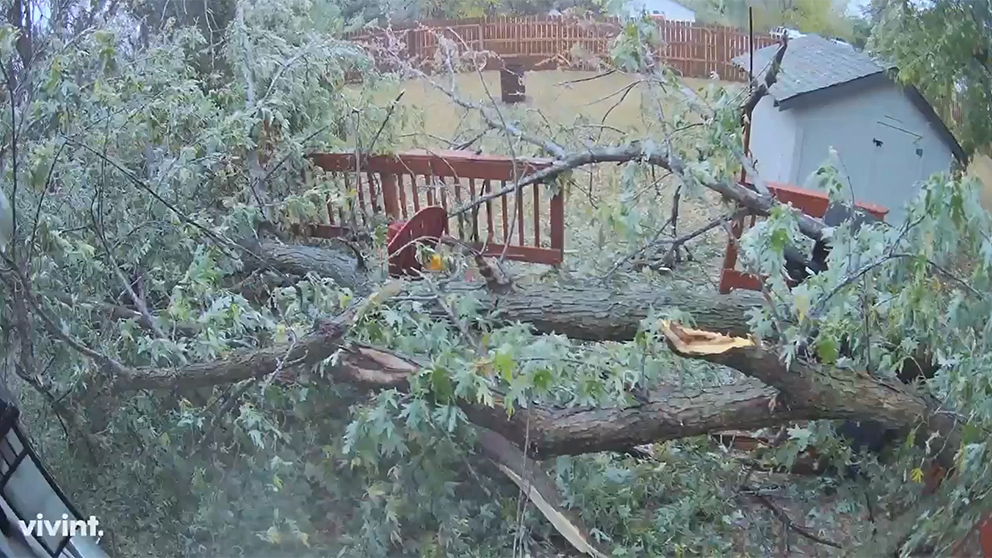 Video: Guthrie man narrowly escapes being hit by large falling tree branch