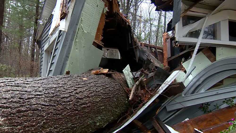 Downed pine tree slices through garage of Hanover home