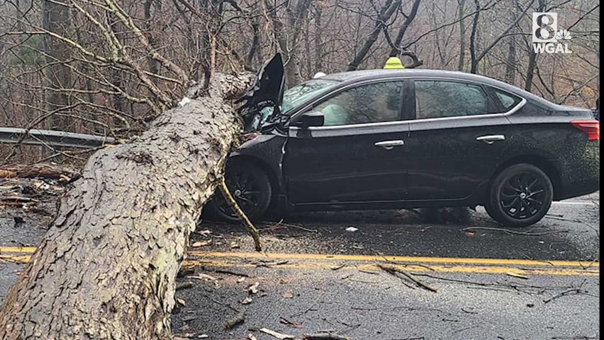 Huge, fallen tree crushes car, narrowly missing driver in South-Central PA