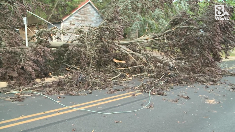 Tree falls on power lines in York County, Pa.