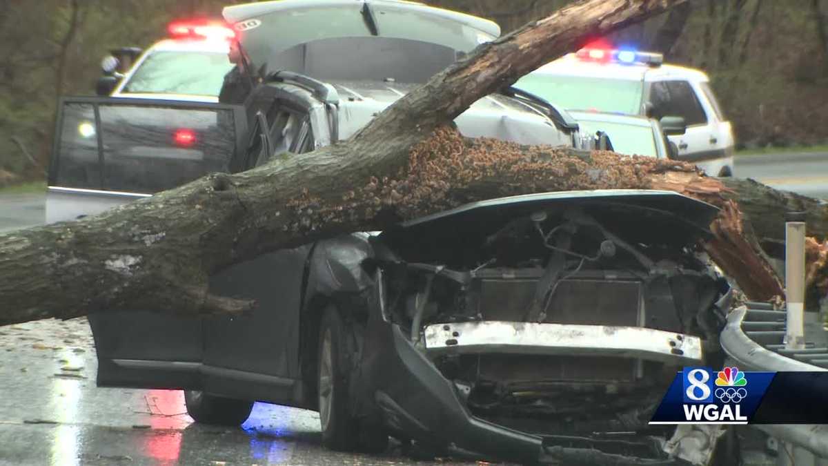 Two people injured after tree fell on their car in Lancaster County, Pa. Two people injured after tree fell on their car in Lancaster County, Pa.