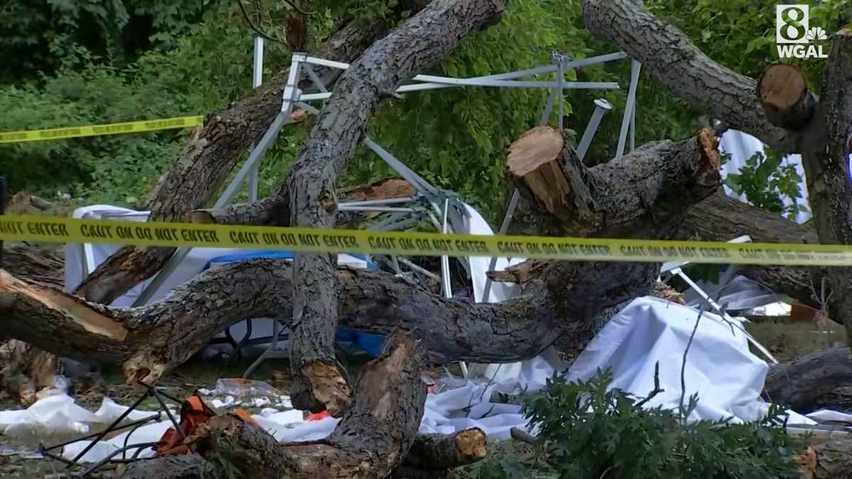 Tree falls onto people at high school reunion in Philly