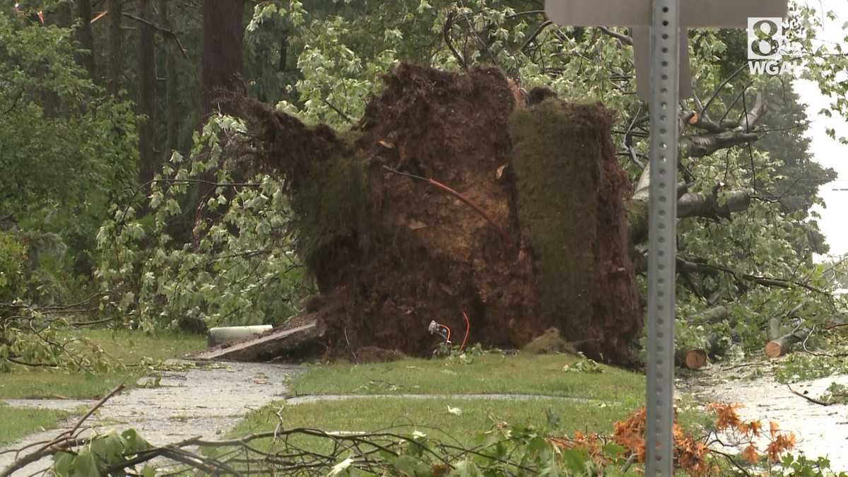 Storm snaps, uproots trees along Market Street in Harrisburg, PA