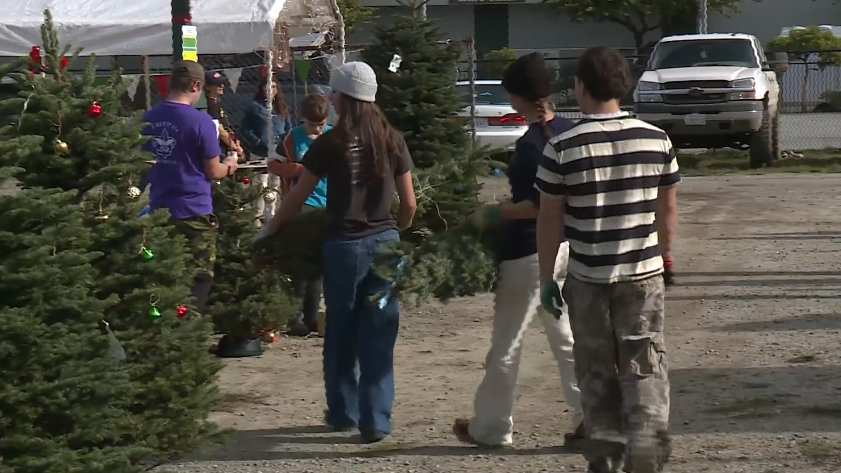 Santa Cruz tree lot raises funds for local causes, marks nearly 60 ...