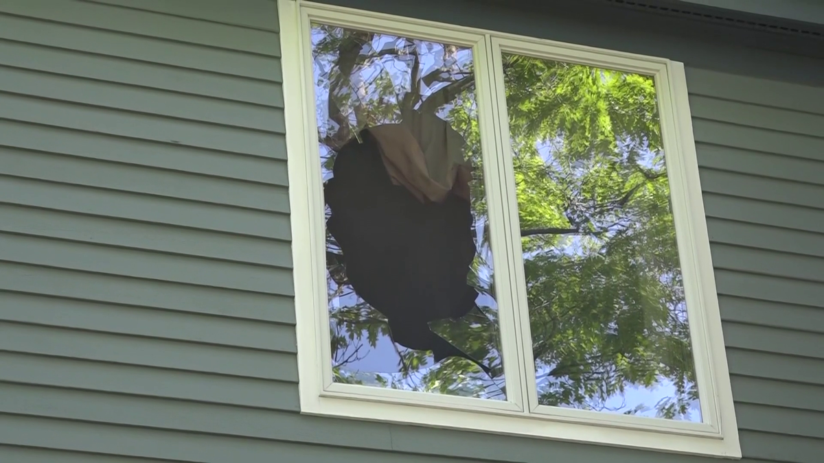 Turkey smashes through closed window of Saugus home