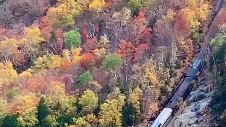 Watch: Aerial view of Conway Scenic Railroad train