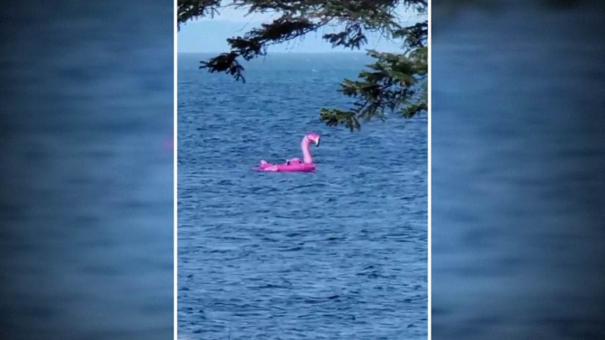 Coast Guard in Alaska rescues three friends after winds and a current ...