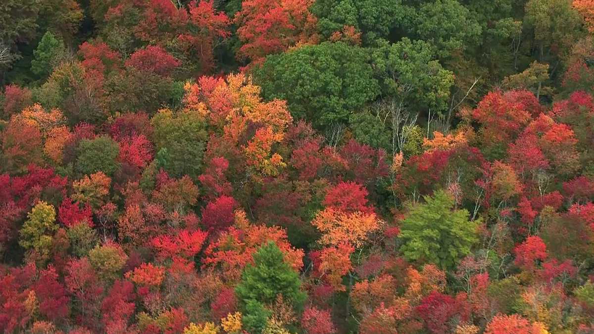 Gorgeous! Sky5 flies over incredible fall colors