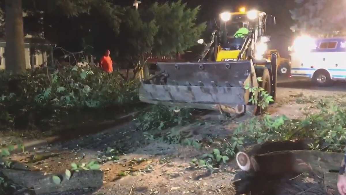 Huge walnut tree crushes van, damages home