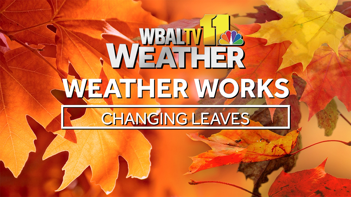 Weather Works: Why do the leaves change in the fall?