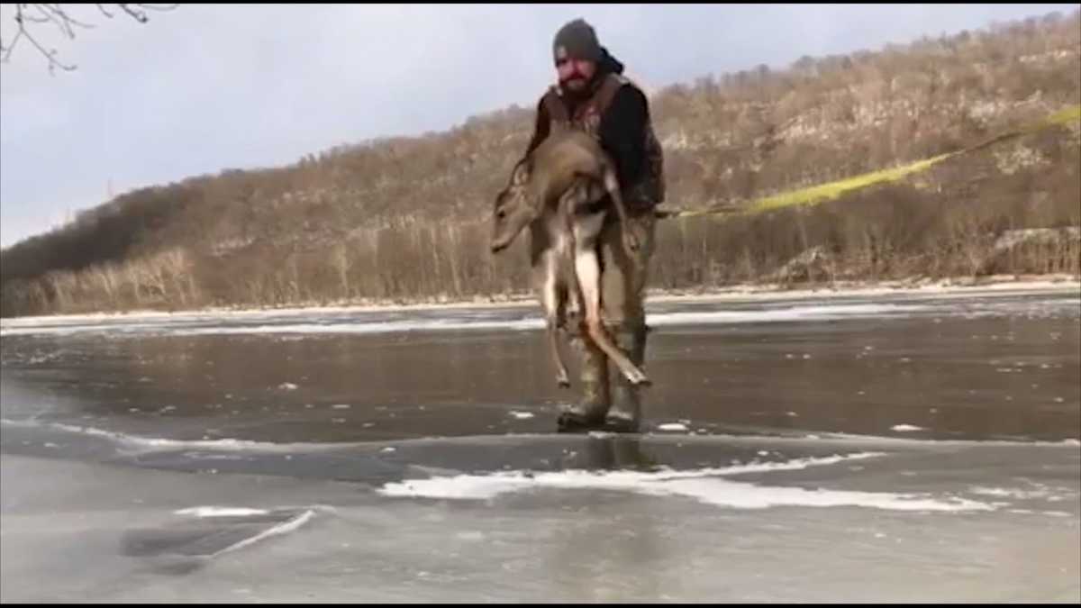 A look at this winter's most daring ice rescues