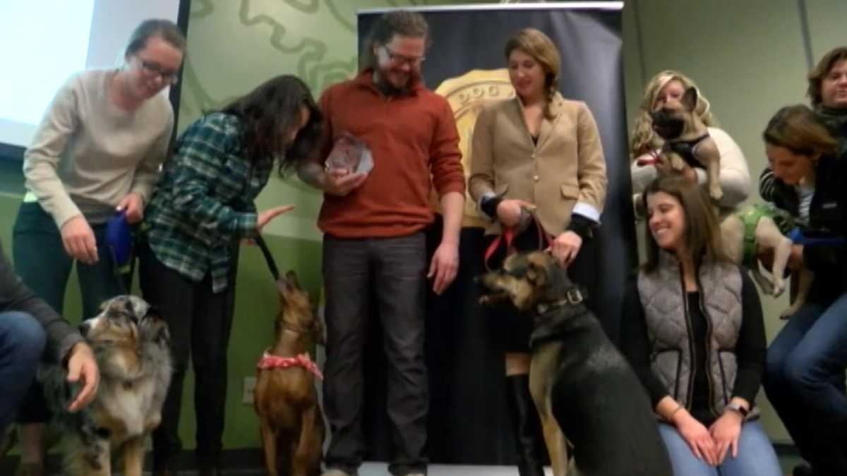Every day is 'Take Your Dog to Work Day' at this pup-friendly corporate ...