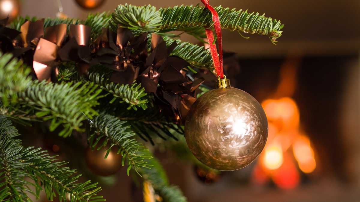 Here's how having a decorated Christmas tree during the holidays became ...