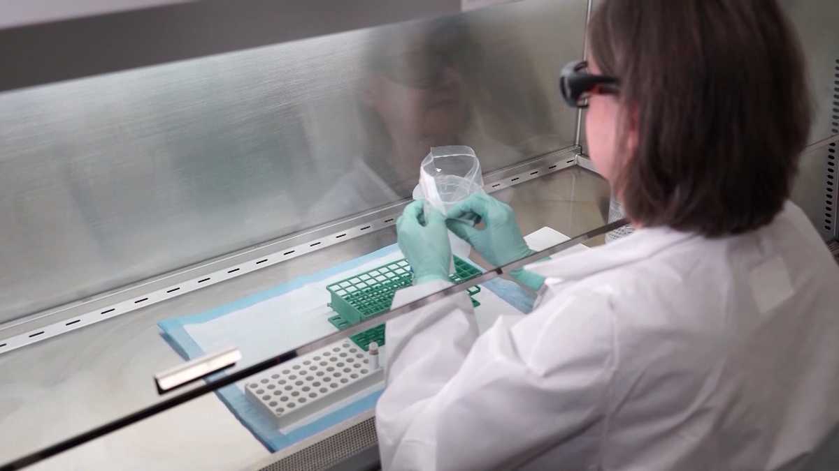 Cities across the US hope to slow coronavirus cases by 'flattening the ...