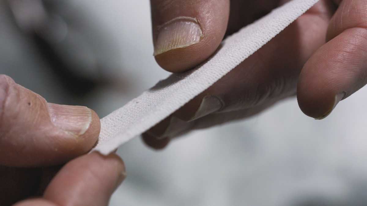 Company stumbles upon weapon to stop bed bugs