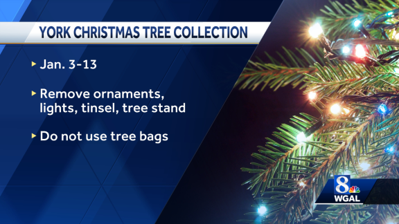 York Christmas tree collection runs through Jan. 13
