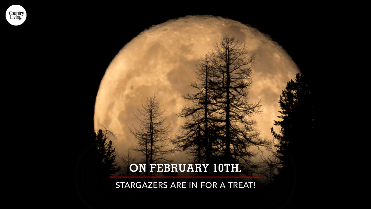 A snow moon, lunar eclipse, and comet will all appear on the same day