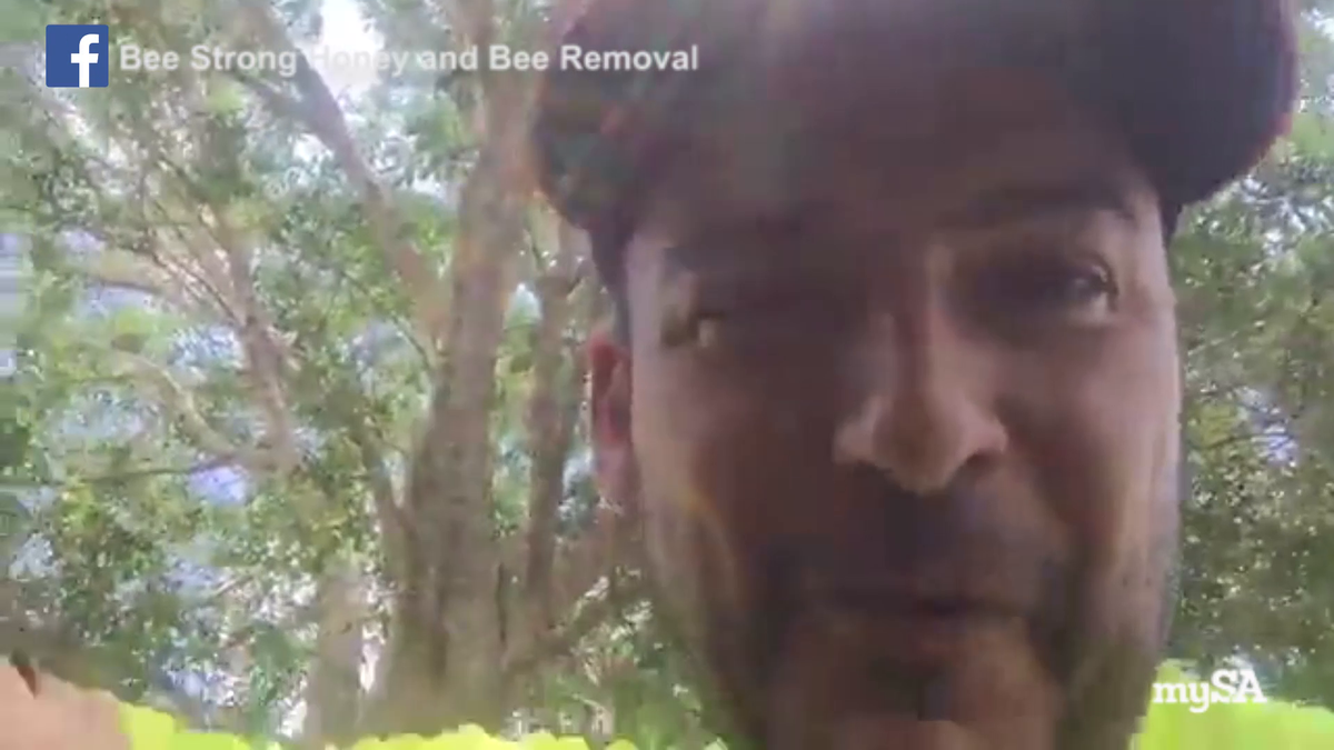 Behold the beard of bees - Man allows bees to hang out on his face
